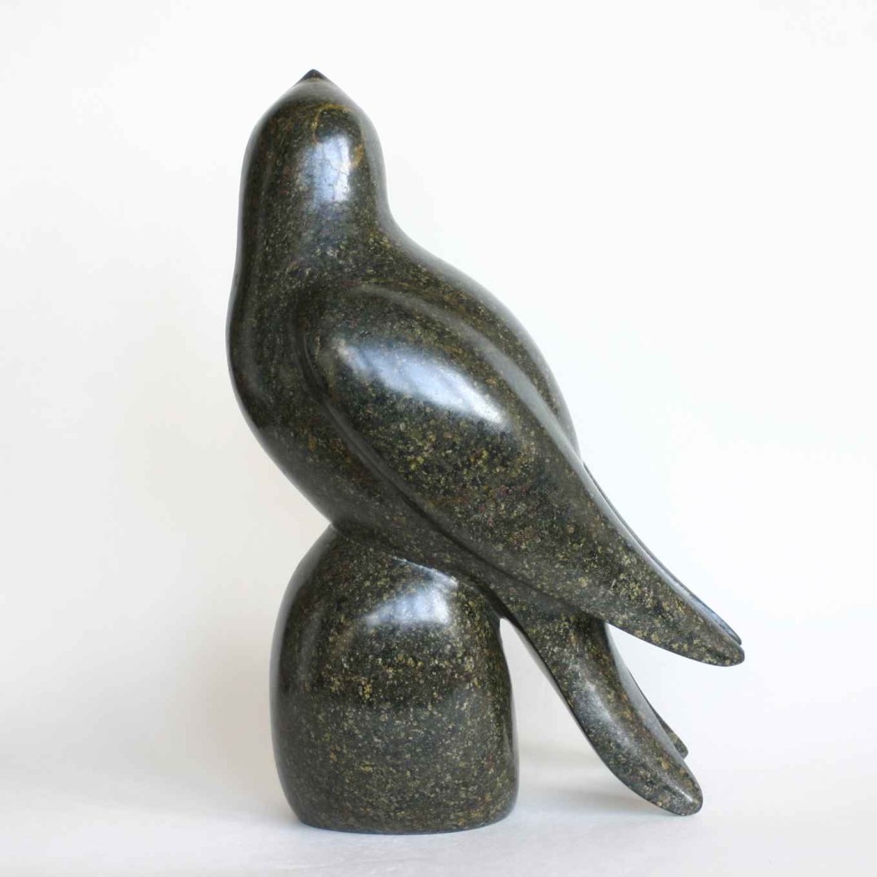 Swallow - Jennifer Tetlow