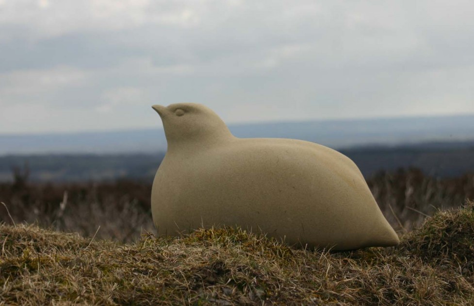 Partridge sculpture carved in Yorkstone, out on the North York Moors